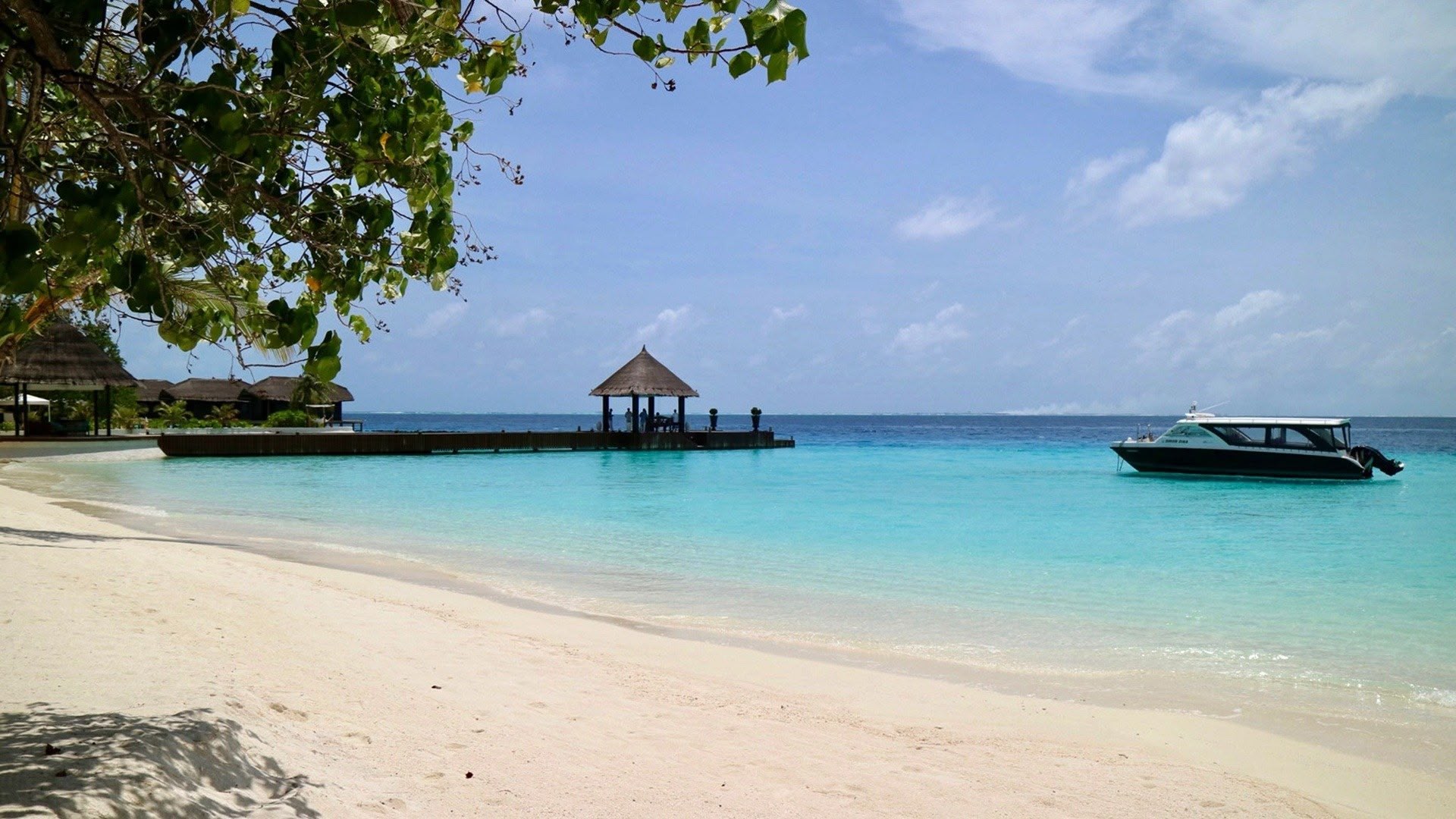 Equator: the line of life | Sky.com