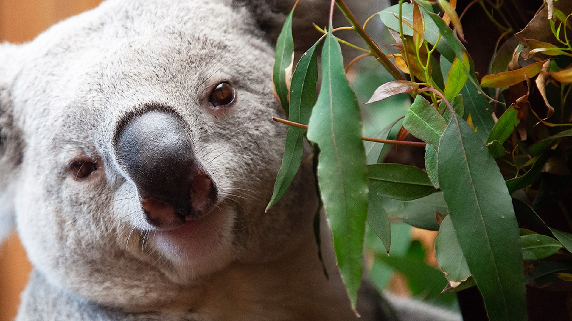 Inside the Zoo | Sky.com