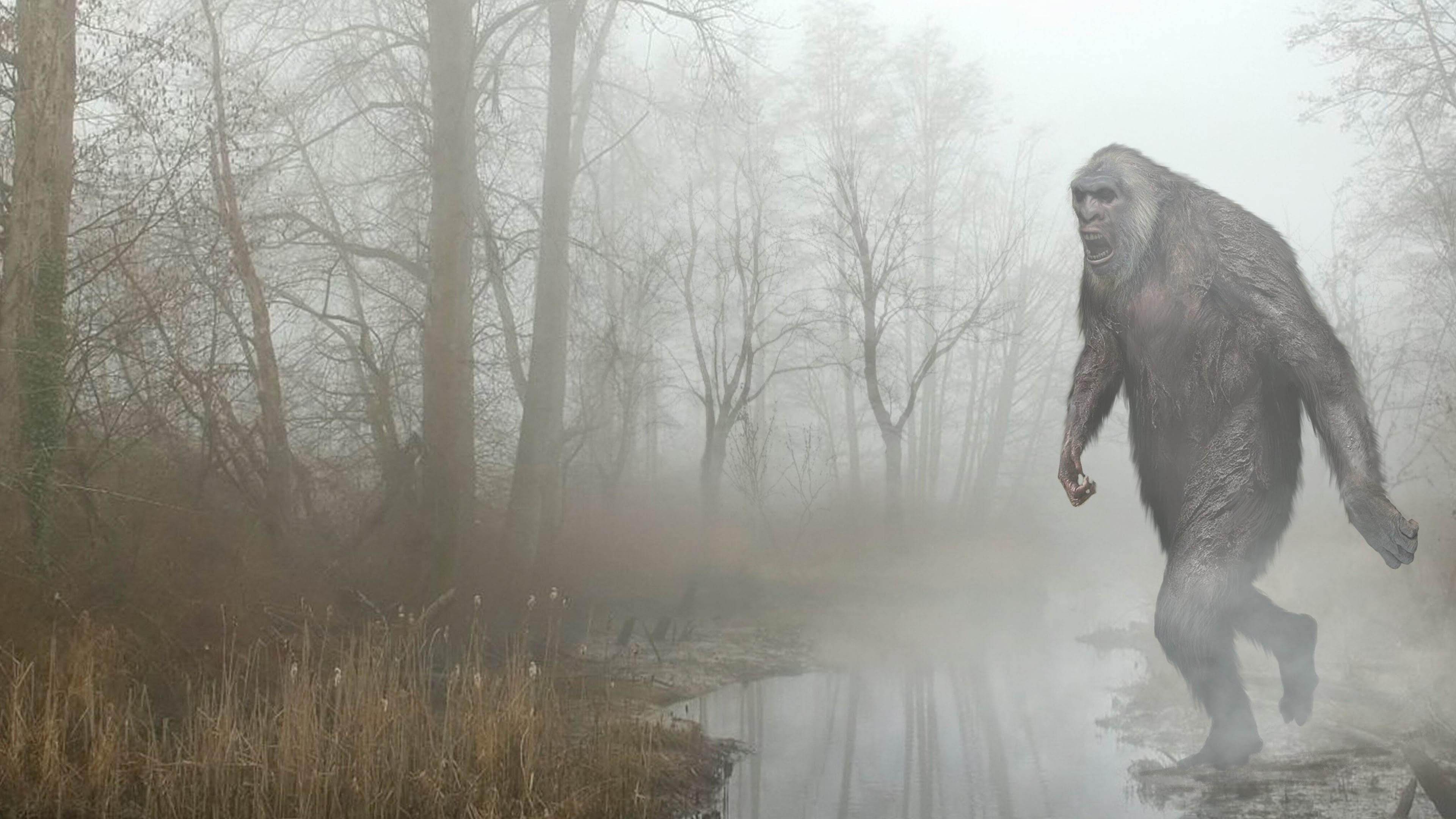 On The Trail of Bigfoot: The Discovery | Sky.com