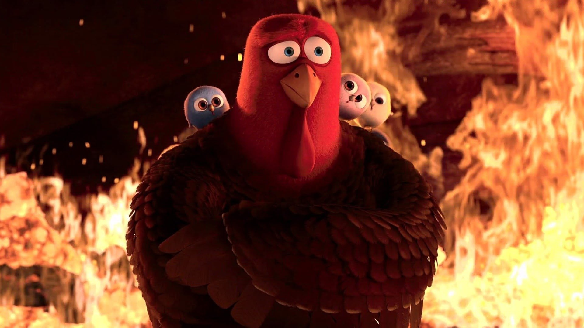 Free Birds Images