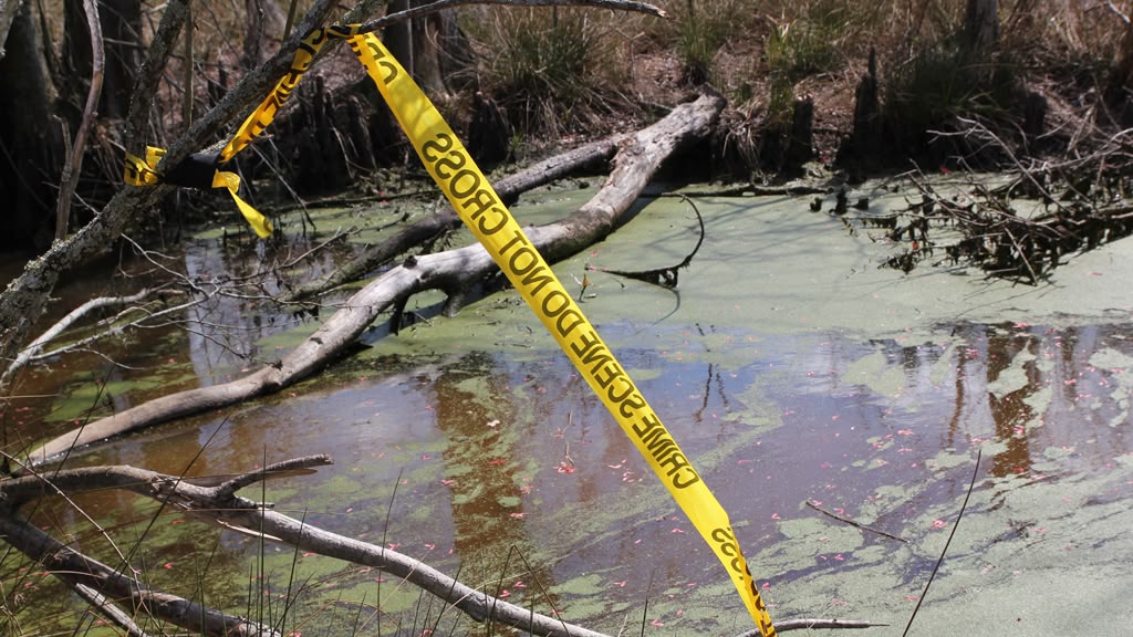 Swamp Murders | Sky.com