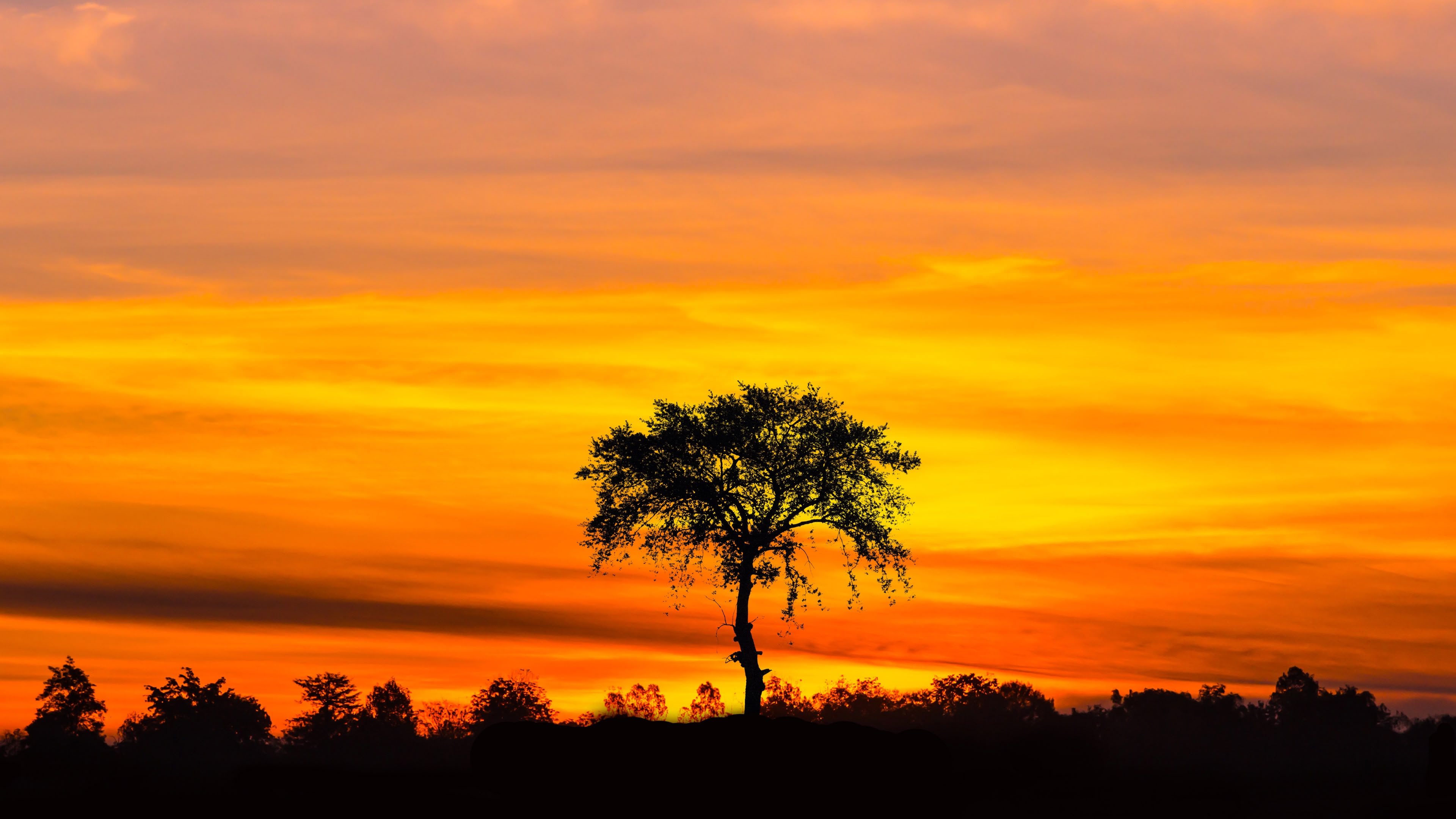 Extreme Africa | Sky.com