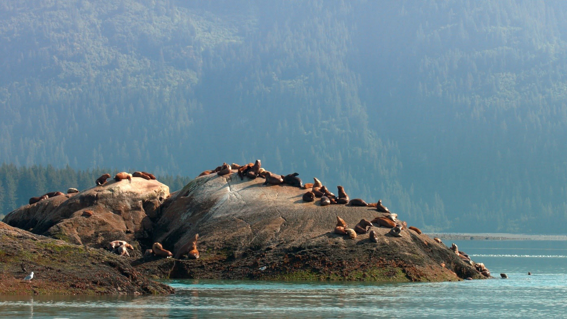 Alaskan Summer | Sky.com