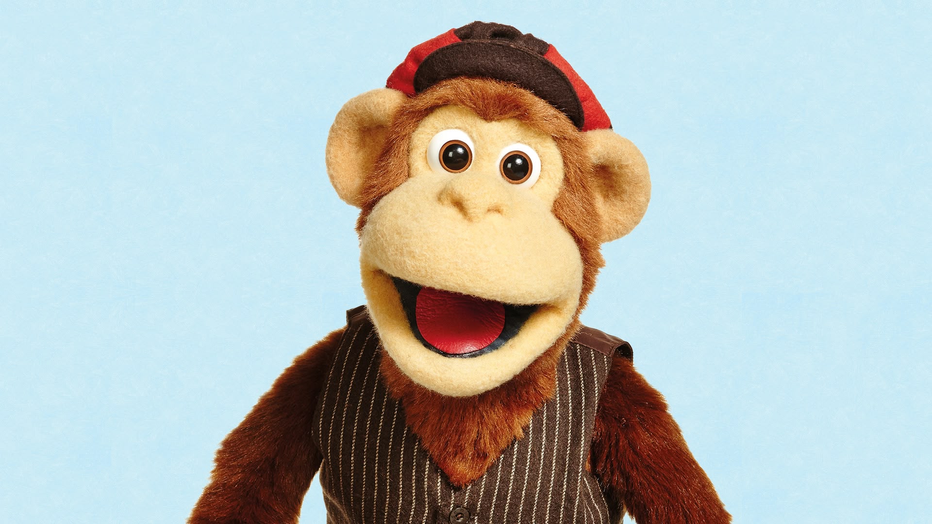 Milkshake! Monkey's Amazing Adventures | Sky.com