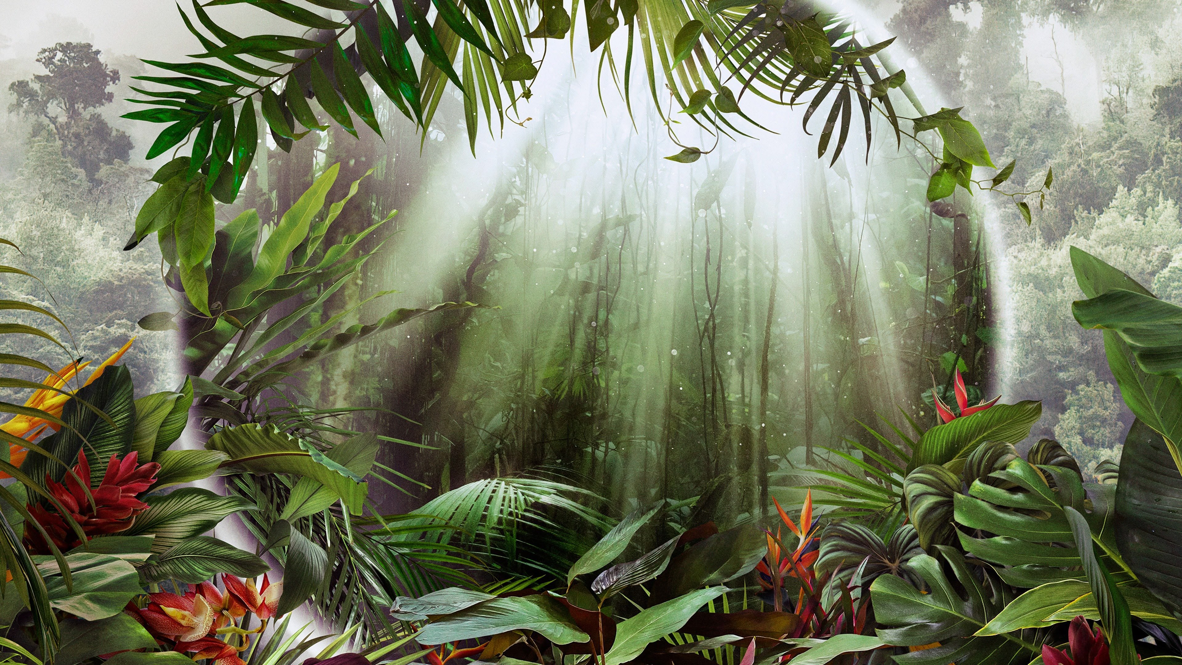 The Green Planet | Sky.com