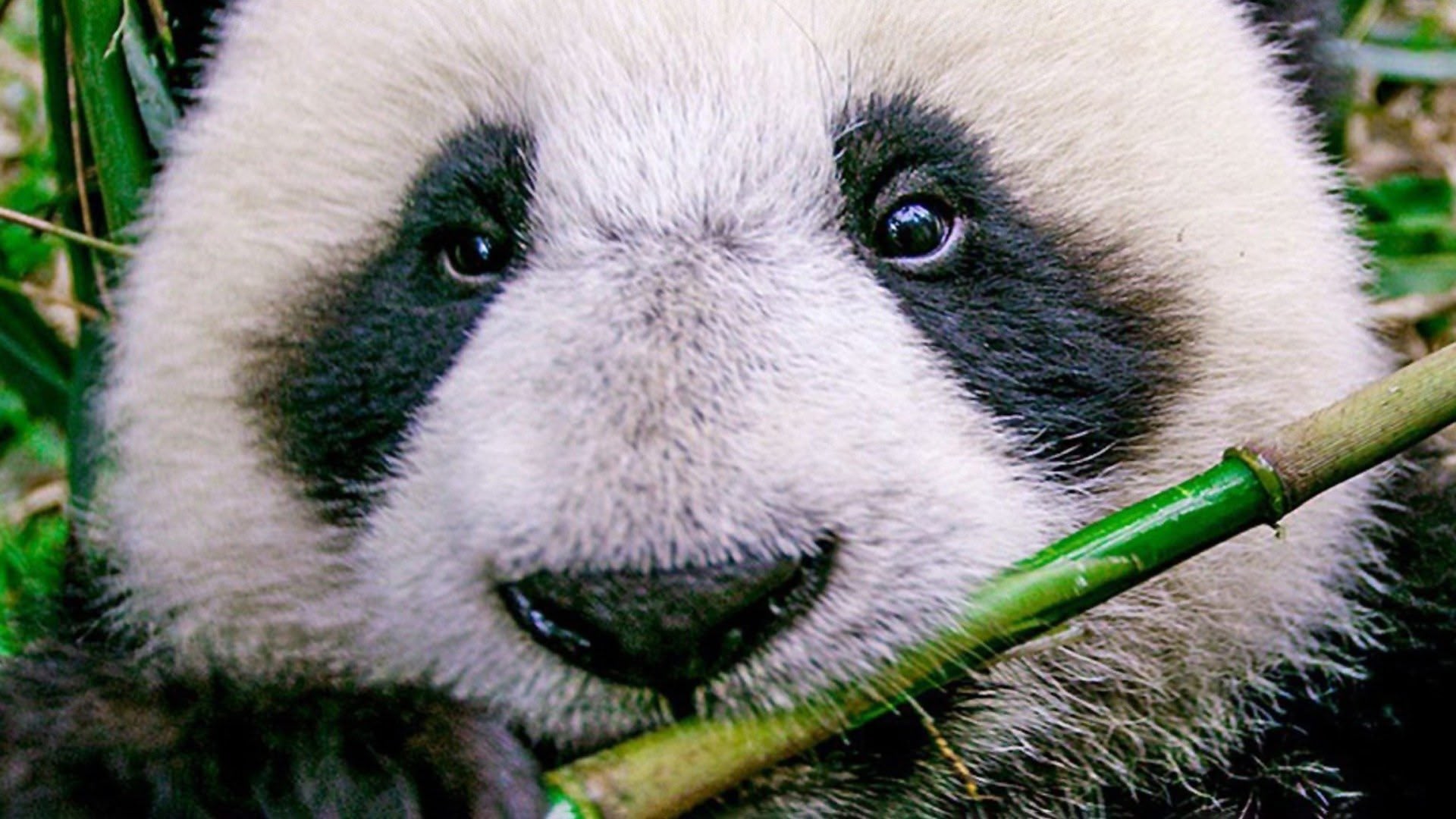 The Hidden Kingdoms of China | Sky.com