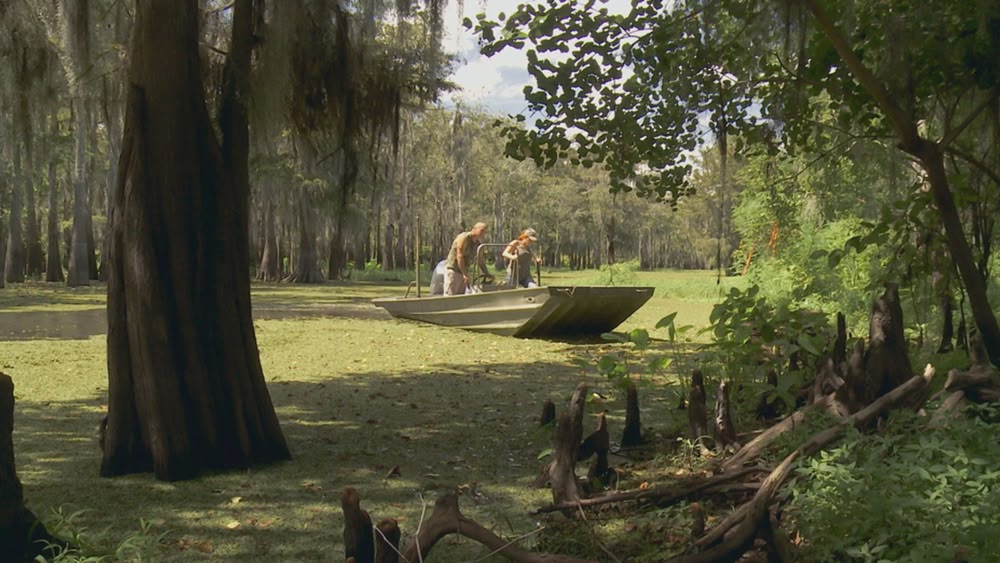 Swamp People Screensavers Swamp People | TV Fanart | Fanart.tv