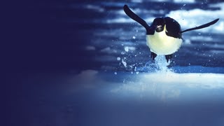 The Blue Planet | Sky.com