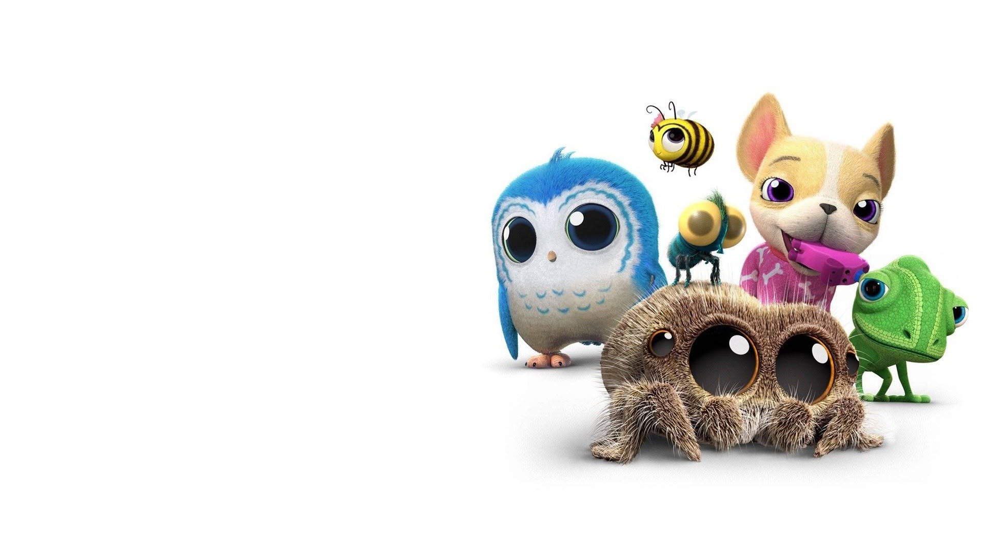 Lucas the Spider | Sky.com
