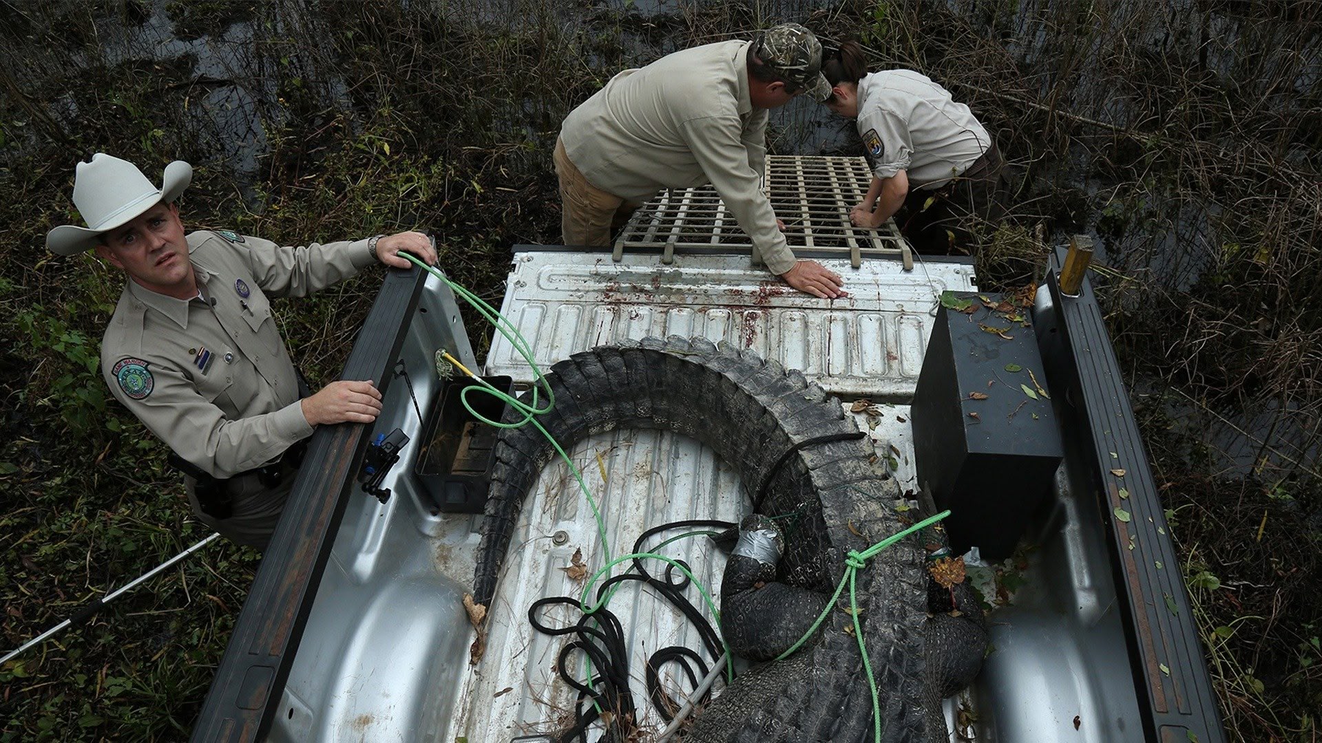 Lone Star Law | Sky.com