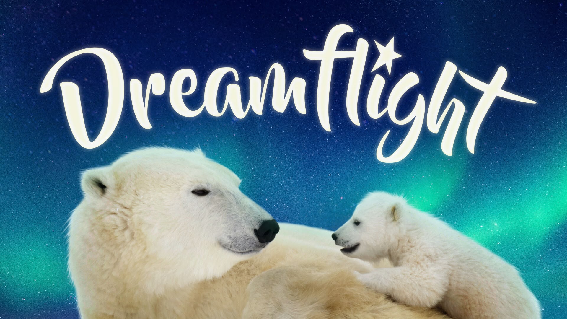 Dreamflight (S) | Sky.com